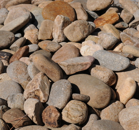 Pigeon River Rounds (palletized) – Atlantic Mulch